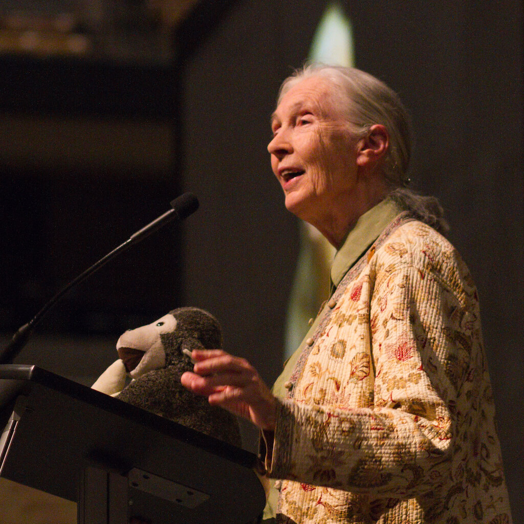 Make a difference with your career choice | RSC Education